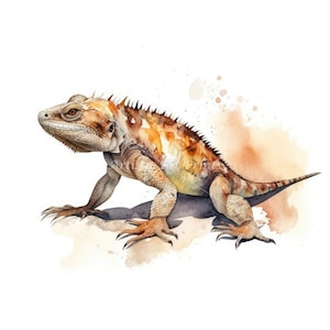 Bearded Dragon Clipart - 10 High Quality Watercolor Jpg's - Digital ...