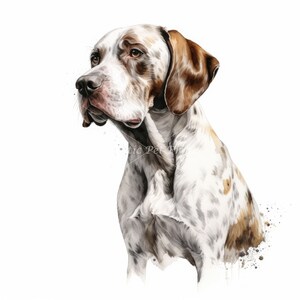 English Pointer Clipart Watercolor 10 High Quality Jpg's Digital ...