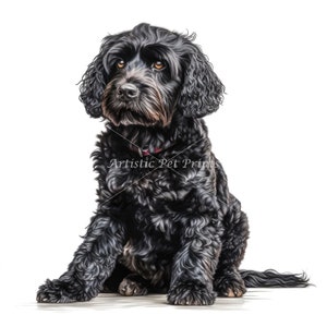 Black Cockapoo Clipart - 10 High Quality Watercolor Jpg's - Digital ...