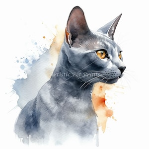 Korat Cat Clipart - 10 High Quality Watercolor Jpg's - Digital Download ...