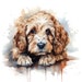 Cockapoo Clipart Watercolor 10 High Quality Jpg's Digital Download Wall ...