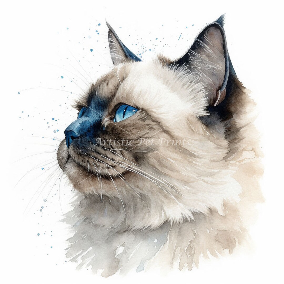 Birman Clipart - 10 High Quality Watercolor Jpg's - Digital Download ...