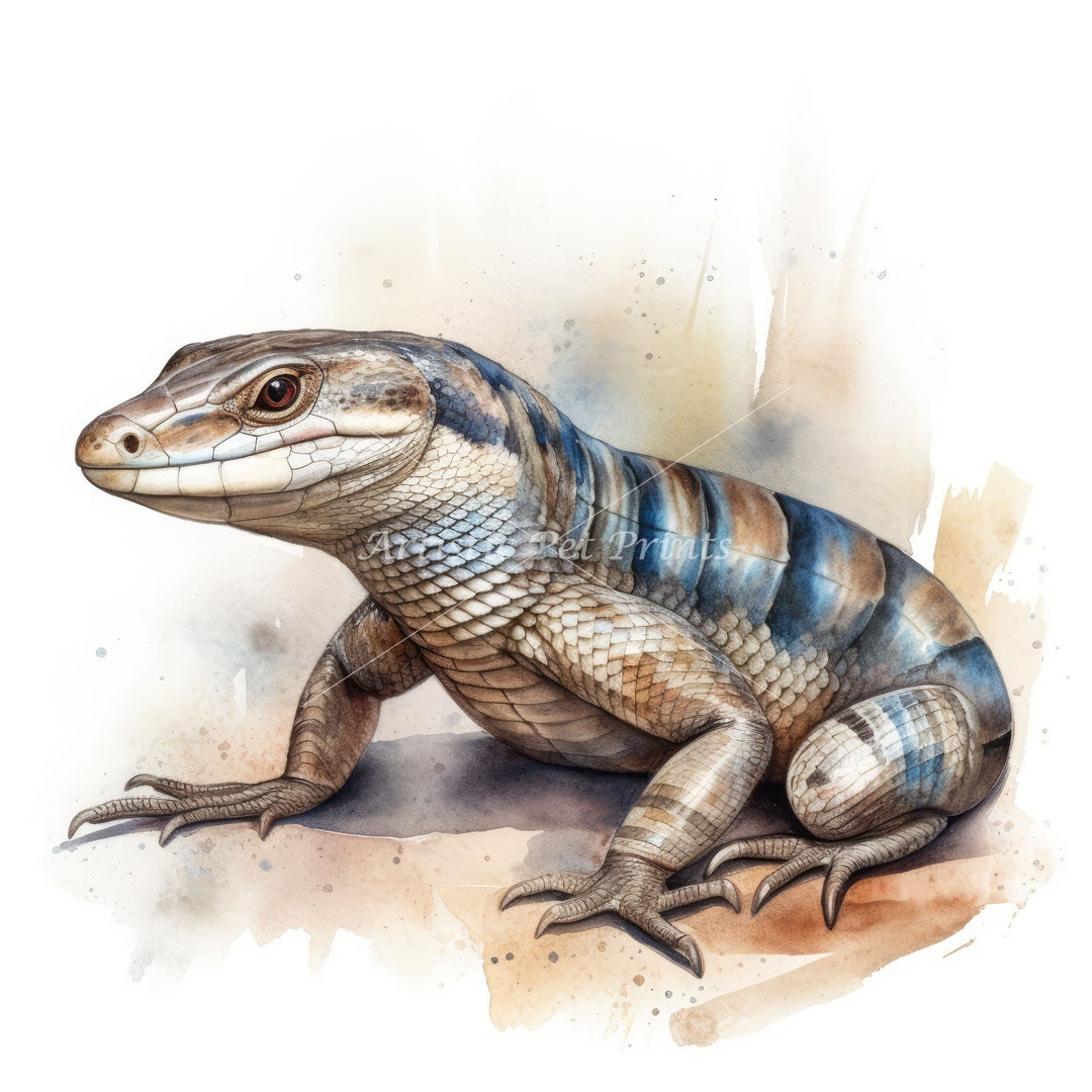 Blue Tongued Skink Clipart - 10 High Quality Watercolor Jpg's - Digital ...
