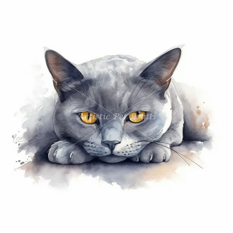 Chartreux Clipart 10 High Quality Watercolor Jpg's - Etsy