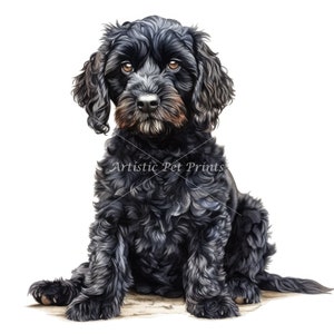 Black Cockapoo Clipart - 10 High Quality Watercolor Jpg's - Digital ...