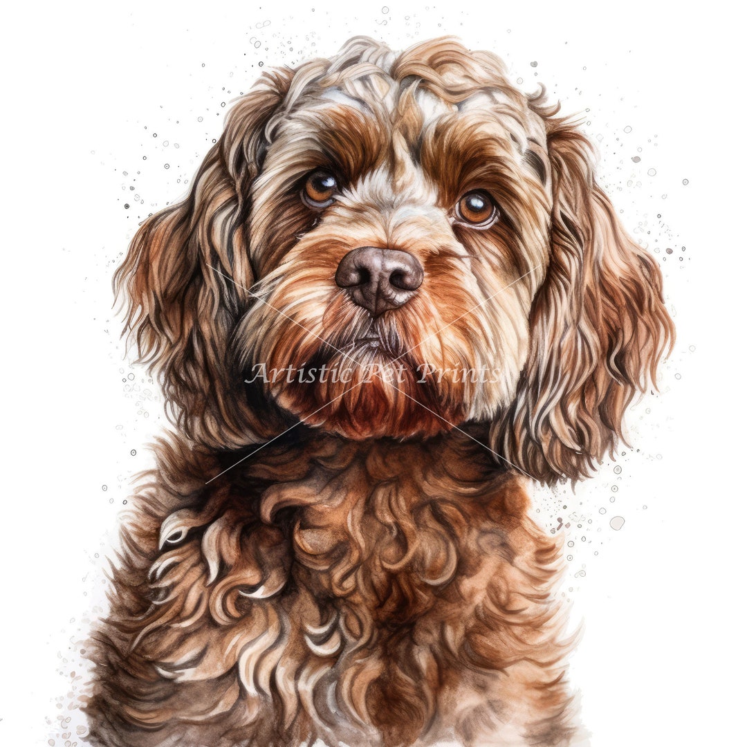 Golden Cockapoo Clipart - 10 High Quality Watercolor Jpg's - Digital ...