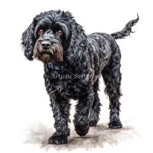 Black Cockapoo Clipart - 10 High Quality Watercolor Jpg's - Digital ...