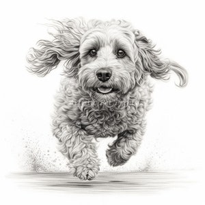 Cockapoo Sketch Drawings - 12 High Quality Jpg's - Digital Download ...