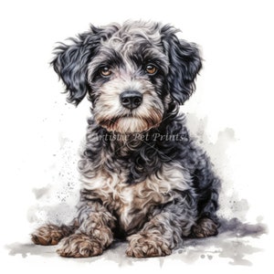 Havapoo Clipart - 10 High Quality Watercolor Jpg's - Digital Download ...