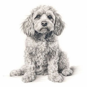 Cockapoo Sketch Drawings - 12 High Quality Jpg's - Digital Download ...