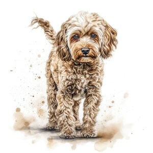 Champagne Cockapoo Clipart - 10 High Quality Watercolor Jpg's - Digital ...