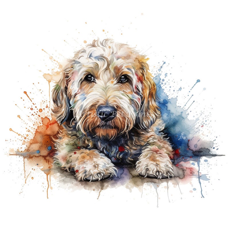 Cockapoo Clipart Watercolor 10 High Quality Jpg's - Etsy