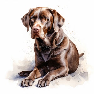 Chocolate Labrador Clipart - 10 High Quality Watercolor Jpg's - Digital ...