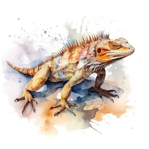 Bearded Dragon Clipart - 10 High Quality Watercolor Jpg's - Digital ...