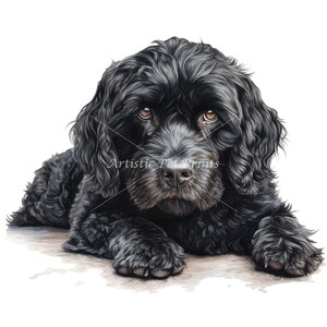 Black Cockapoo Clipart - 10 High Quality Watercolor Jpg's - Digital ...