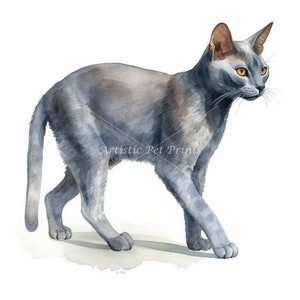 Korat Cat Clipart - 10 High Quality Watercolor Jpg's - Digital Download ...