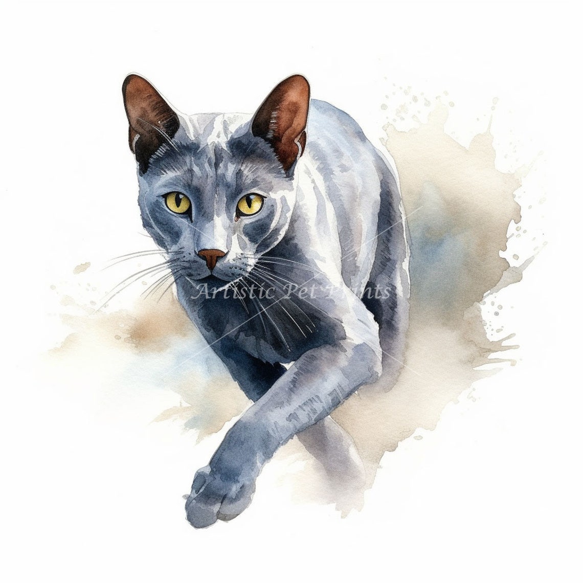Korat Cat Clipart - 10 High Quality Watercolor Jpg's - Digital Download ...