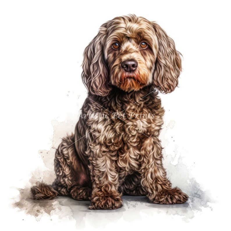 Golden Cockapoo Clipart - 10 High Quality Watercolor Jpg's - Digital ...