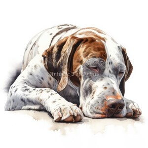 English Pointer Clipart Watercolor - 10 High Quality Jpg's - Digital ...