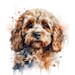 Cockapoo Clipart Watercolor 10 High Quality Jpg's Digital Download Wall ...