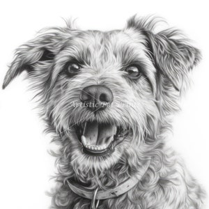 Jackapoo Sketch Drawings - 10 High Quality Jpg's - Digital Download ...