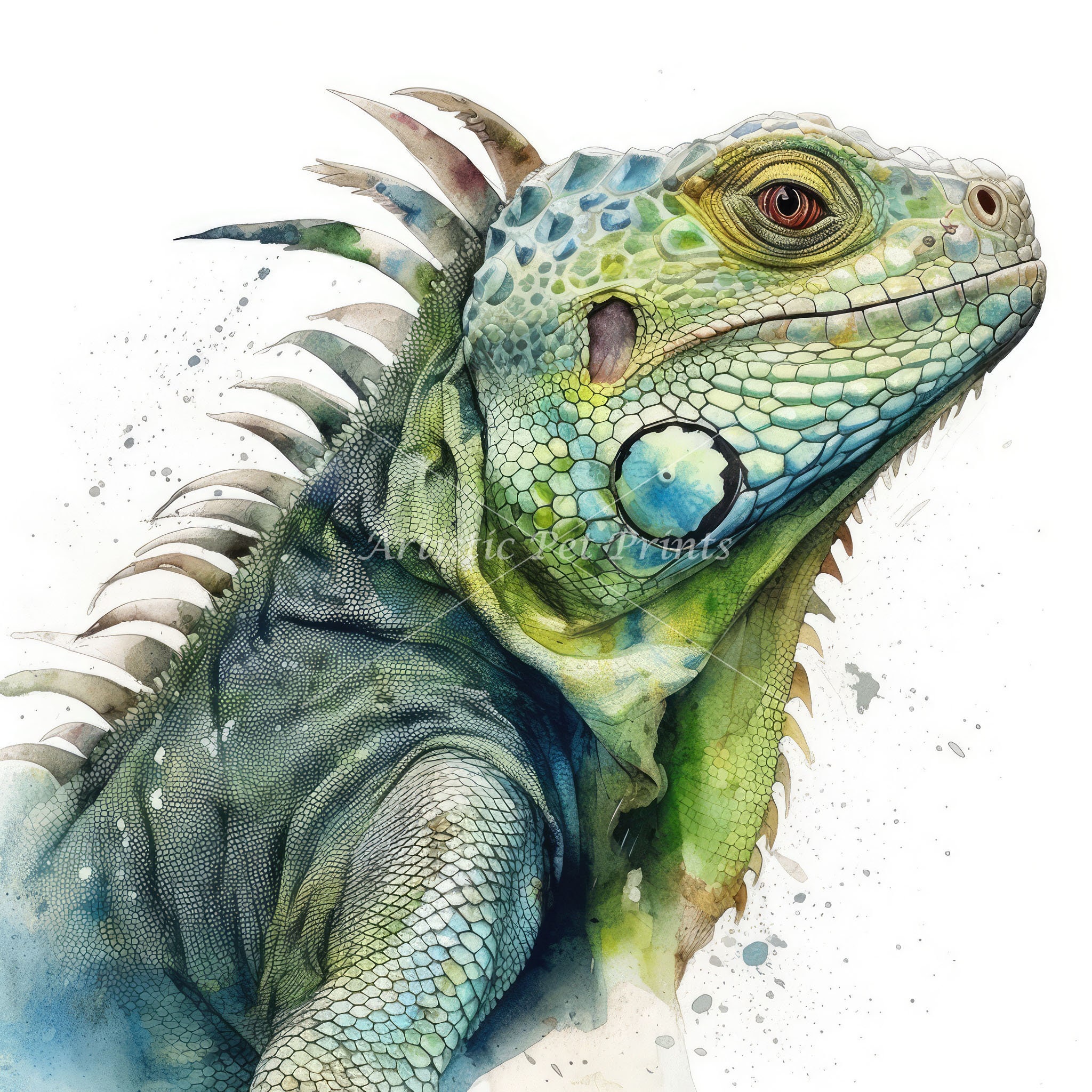 Iguana Clipart