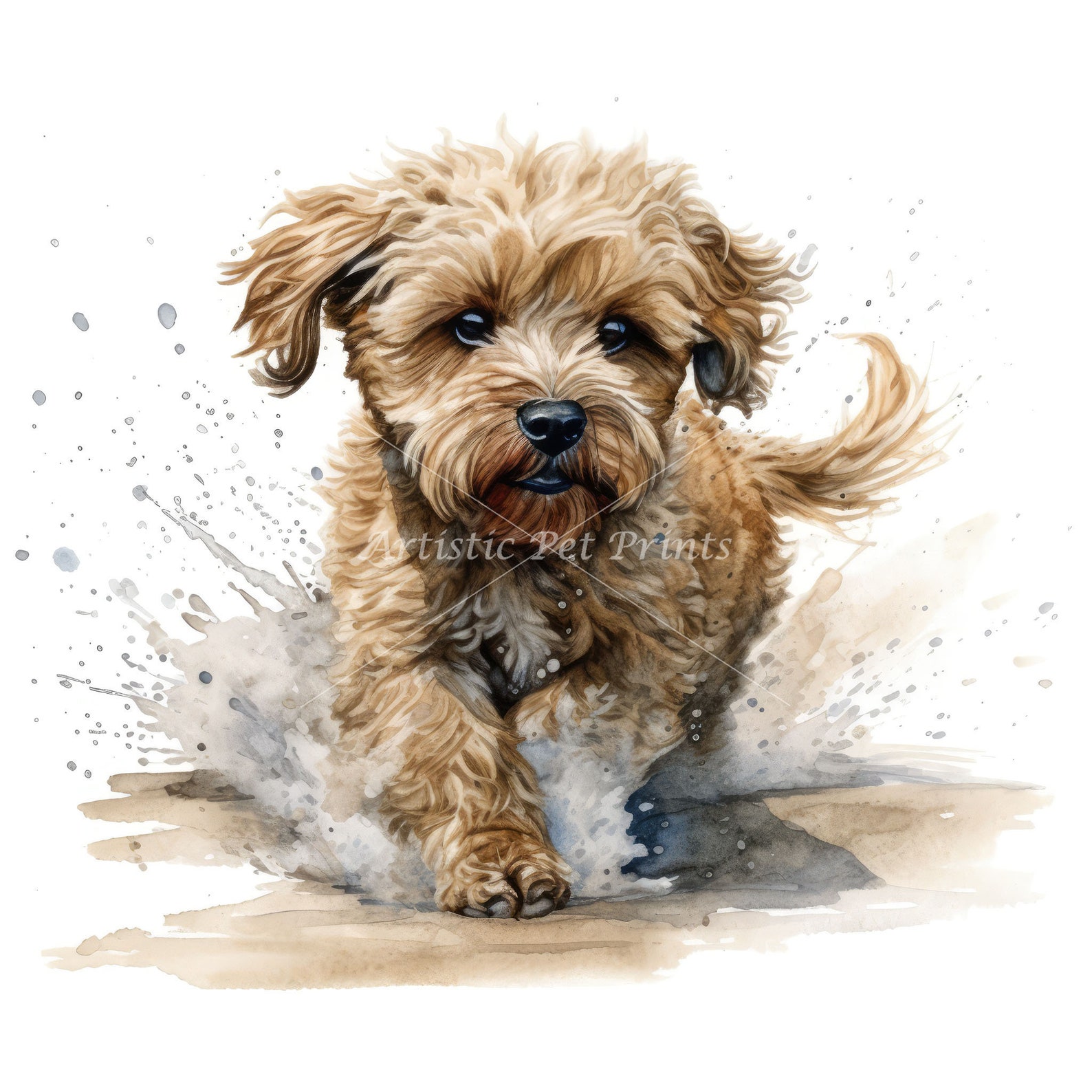 Havapoo Clipart - 10 High Quality Watercolor Jpg's - Digital Download ...