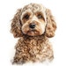 Champagne Cockapoo Clipart - 10 High Quality Watercolor Jpg's - Digital ...