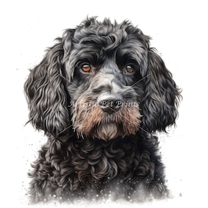 Black Cockapoo Clipart - 10 High Quality Watercolor Jpg's - Digital ...
