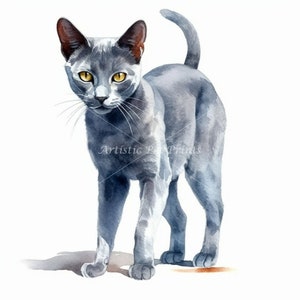Korat Cat Clipart - 10 High Quality Watercolor Jpg's - Digital Download ...