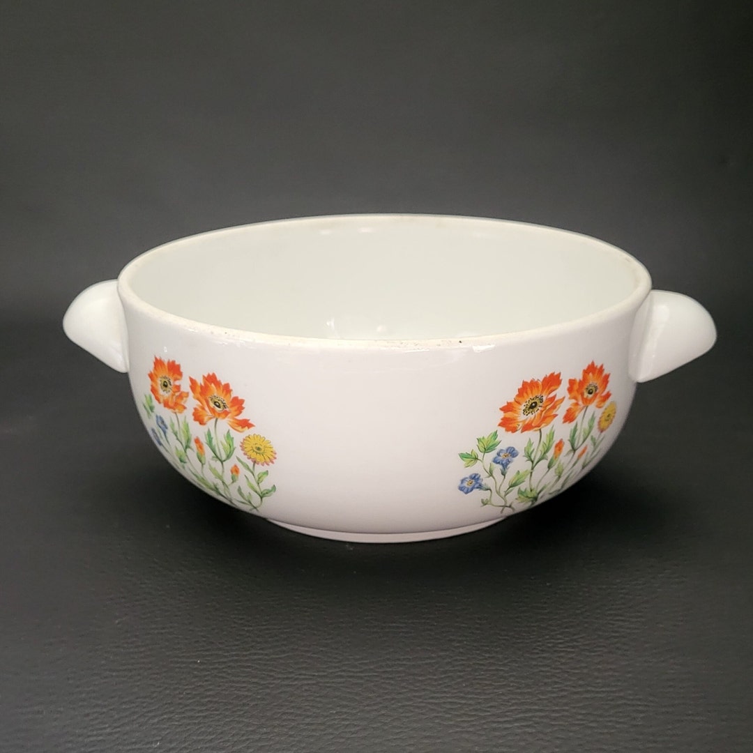 Apilco Casserole Dish Fire Porcelain Cooking Dish Flowered Casserole ...