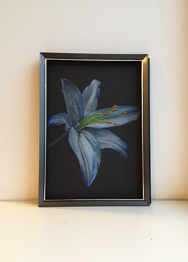 Original Blue Flower Drawing Soft Colored Pencil Lily - Etsy