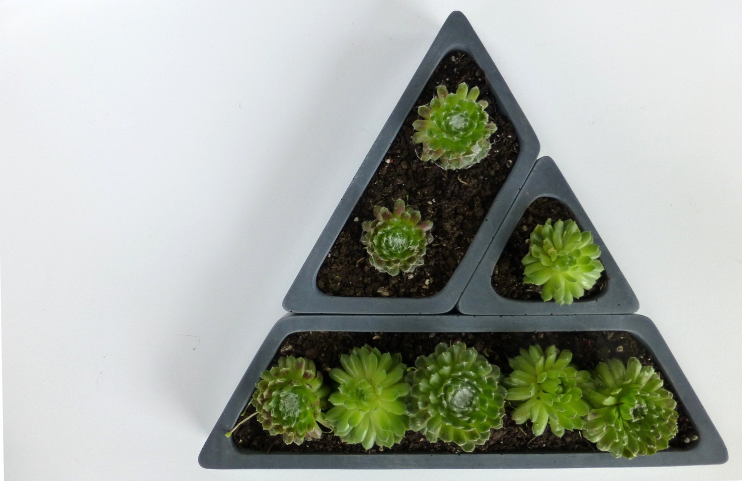 Concrete Succulent Planter Set Triangular - Etsy
