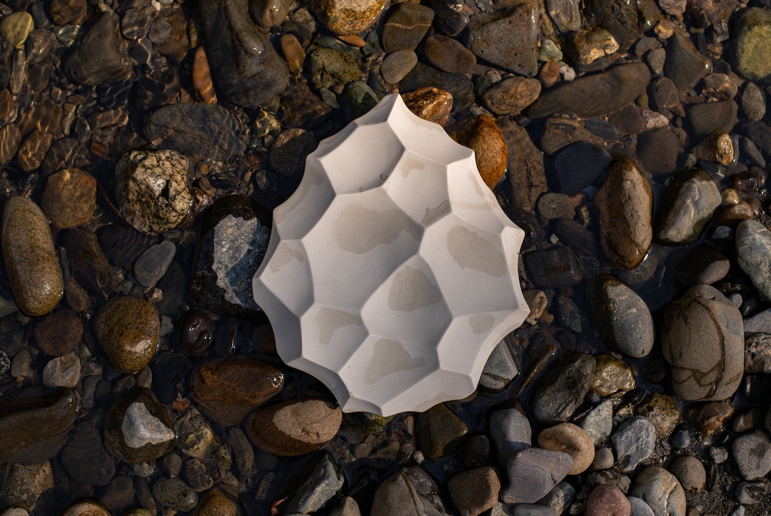 Artifact Tray - Etsy