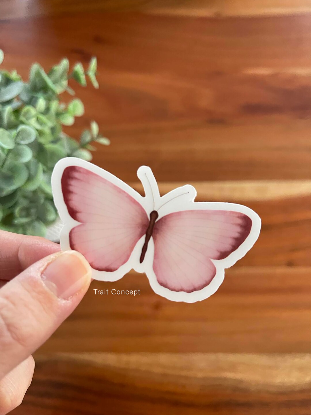 Pink Butterfly Sticker - Teacher Gift - Mother's Day Gift - Vinyl ...