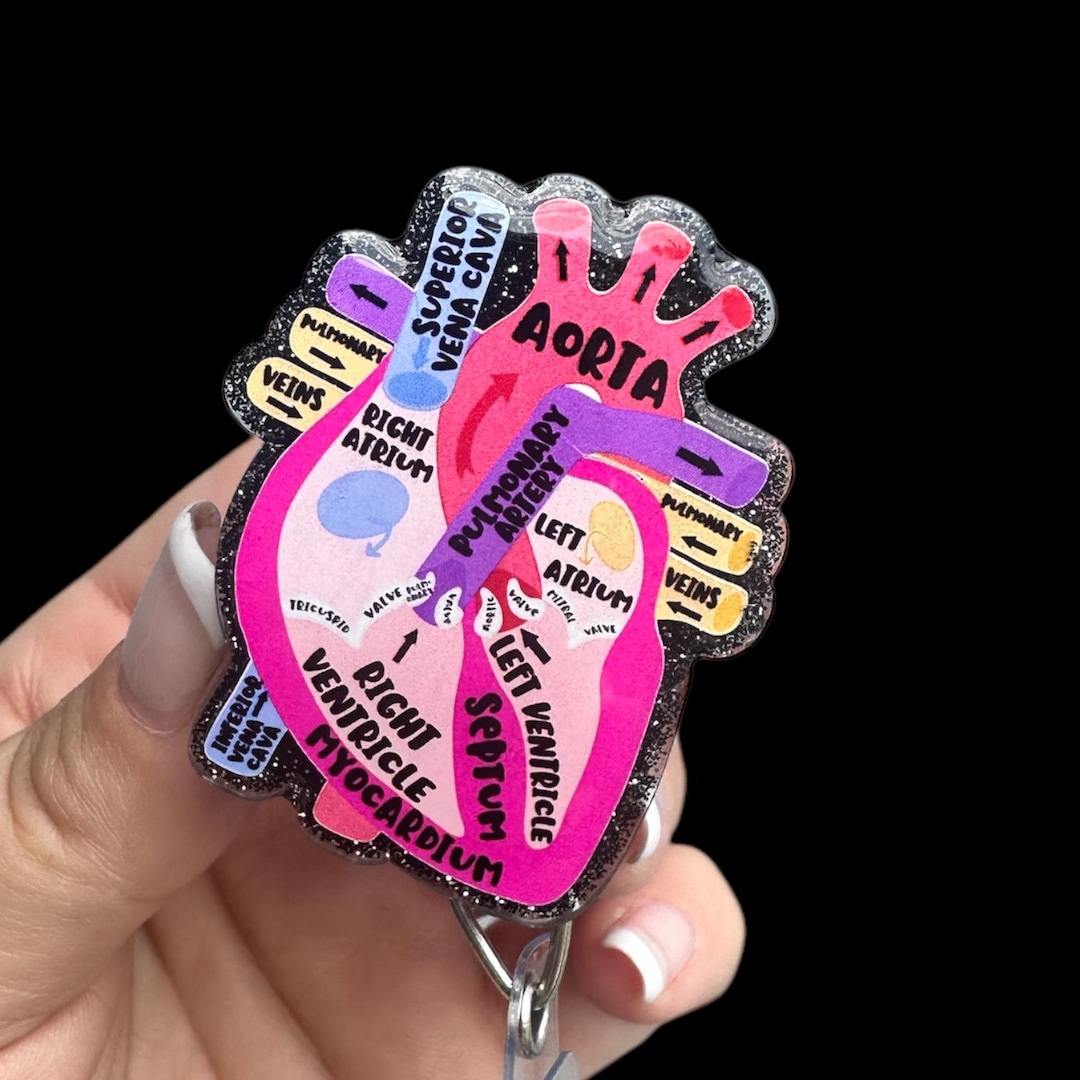 Labeled Anatomical Heart Badge Reel, Gift for Cardiology Hospital Nurse ...