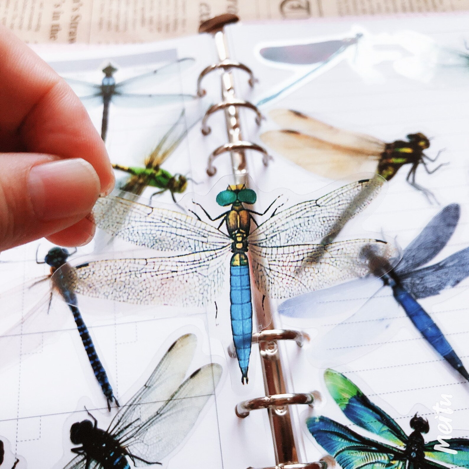 30 Pcs Large Dragonfly Stickers Dragonfly Clear Sticker - Etsy