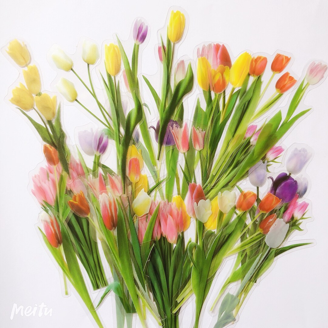 40 Pcs/pack Tulip Clear Sticker, Flower PVC Sticker Flakes, Scrapbook ...
