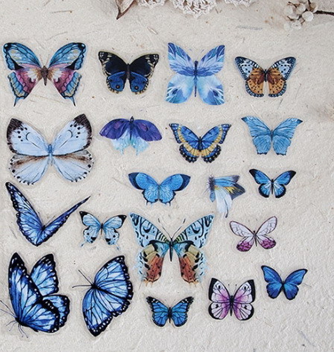 40 Pcs Blue Butterfly Stickers Butterflies Clear Sticker | Etsy