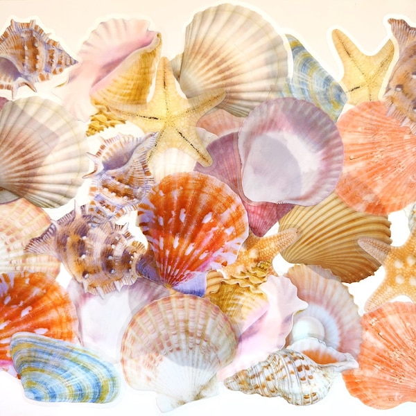 Seashell Stickers - Etsy
