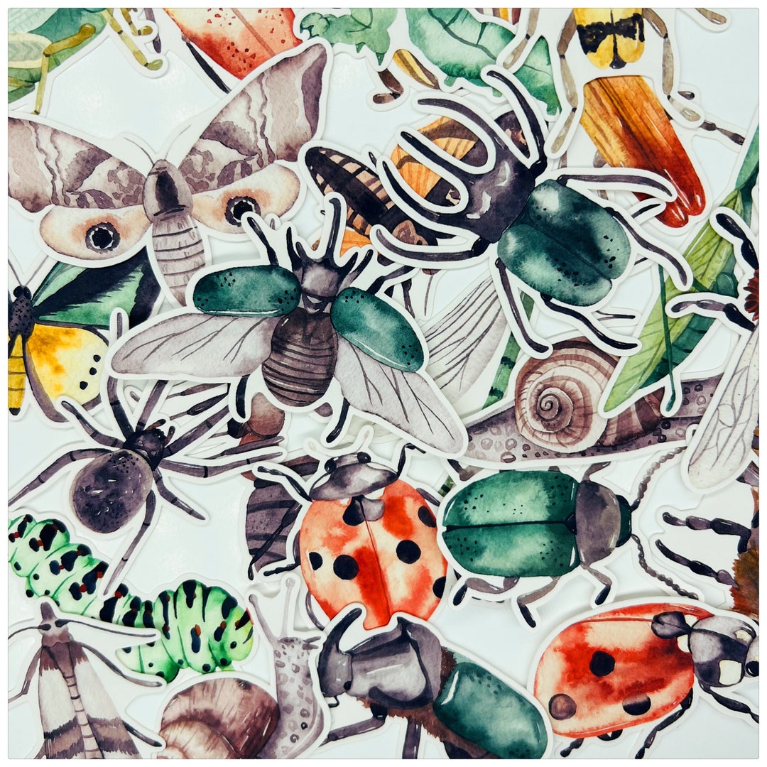 27 PCS Insect Stickers Set, Cute Stickers, Giantworm Stickers, Bullet ...