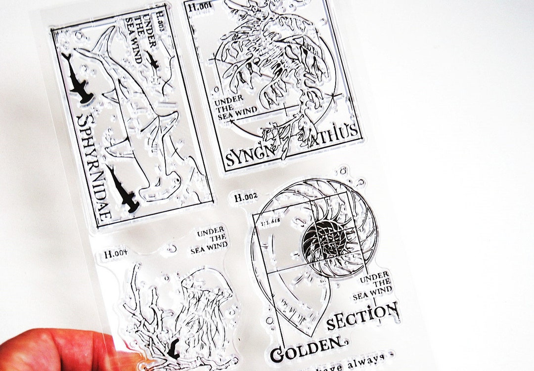 Under the Sea Wind Stamp, Jellyfish Clear Stamp, Conch Rubber Stamp ...