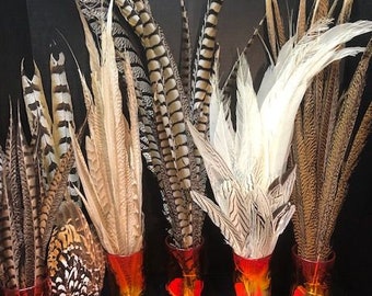 Pheasant Tail Feather Display - Etsy