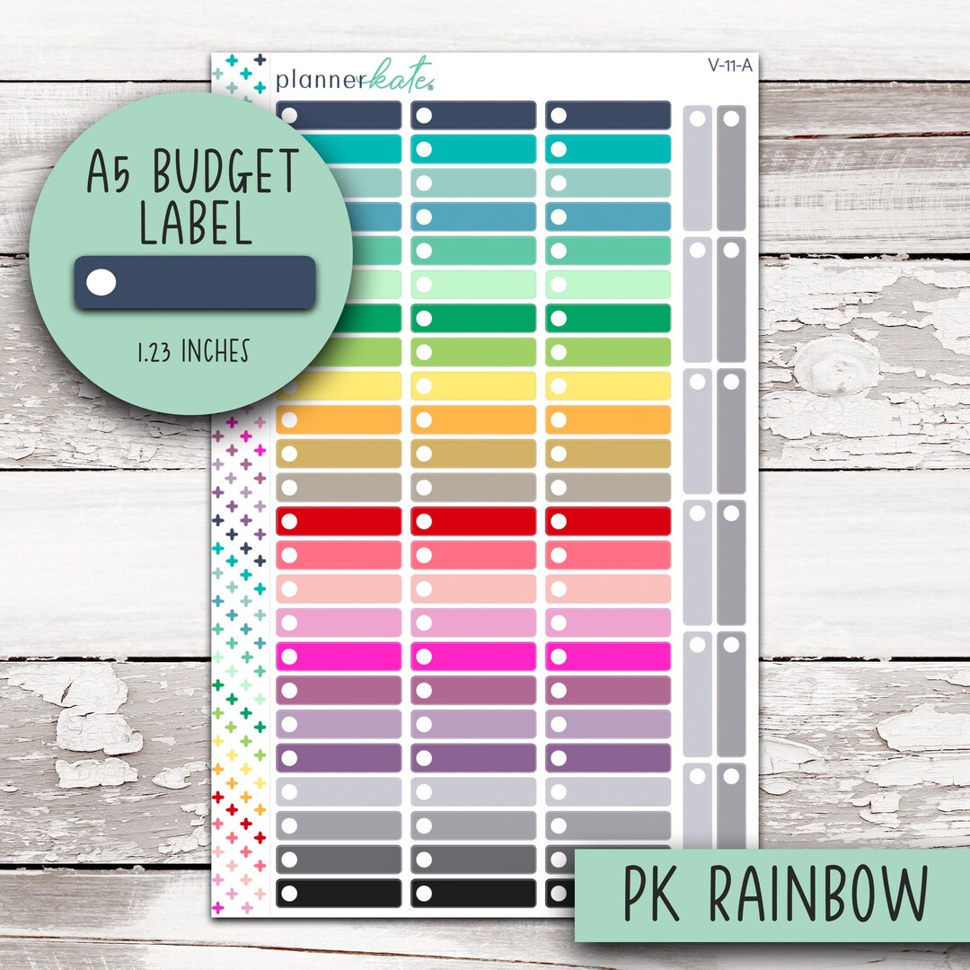 V-11-A || A5 Monthly Budget Labels for Planner - PK Rainbow - Etsy
