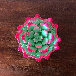3D Minty Echeveria Succulent Hen-and-chick Agave Aloe Rosette Plant Cactus Perler Bead Fuse Bead ...
