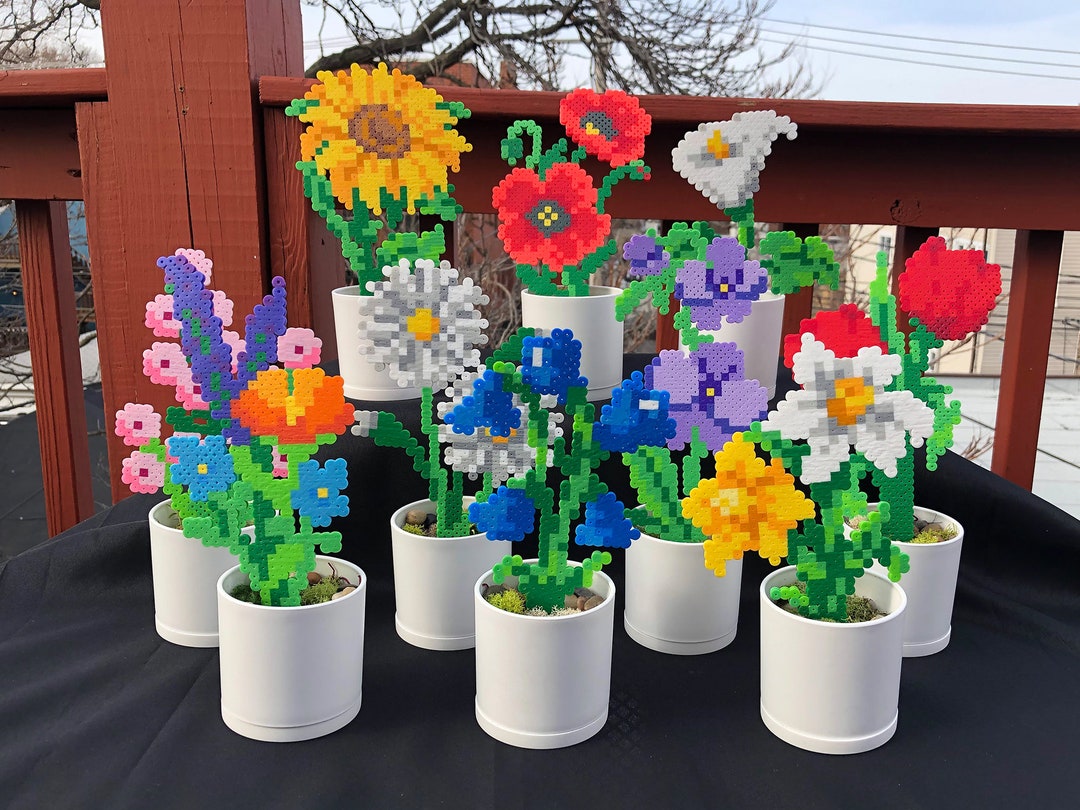 Flower | Sunflower | Orchid | Blossom | Tulip | Daisy | Wild | Daffodil ...