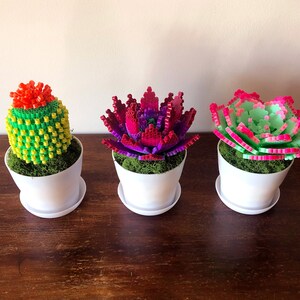 3D Minty Echeveria Succulent Hen-and-chick Agave Aloe Rosette Plant Cactus Perler Bead Fuse Bead ...