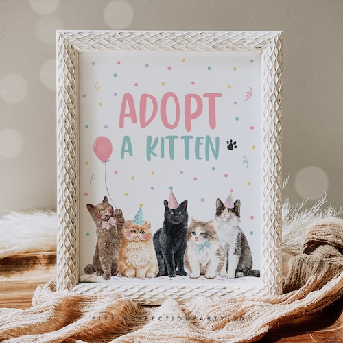 Cat Birthday Party Decorations Kitty Adoption Party - Etsy