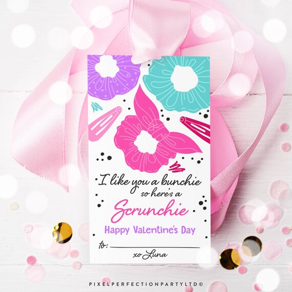 Editable I Like You A Bunchie So Here's A Scrunchie Valentine Gift Tag ...