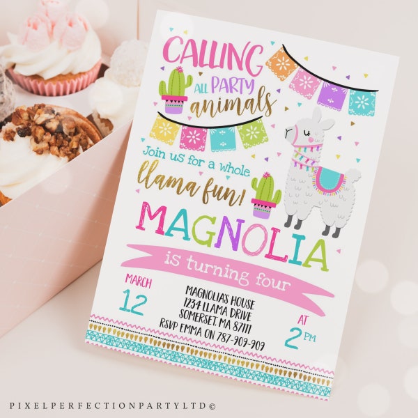 Llama Birthday Party - Etsy